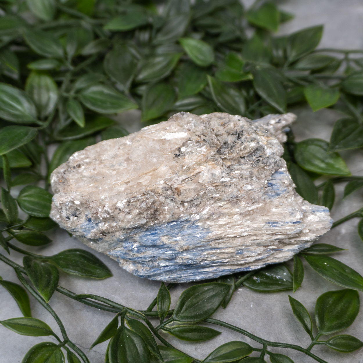 Blue Kyanite #1 - The Crystal Council