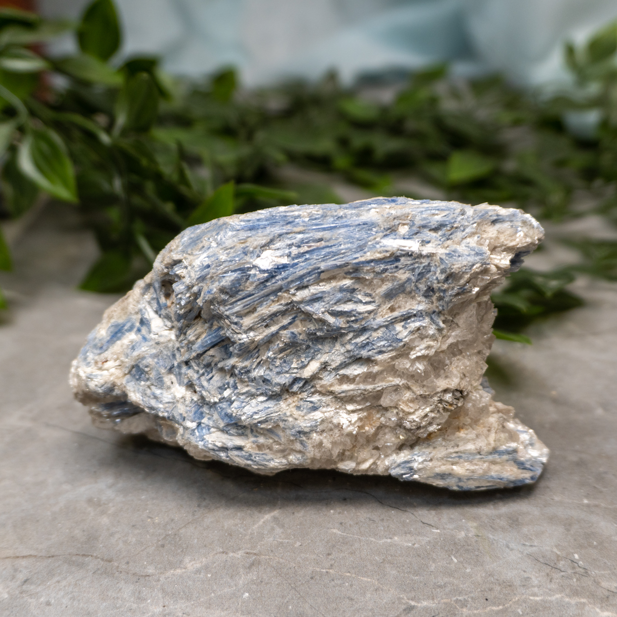 Blue Kyanite #1 - The Crystal Council