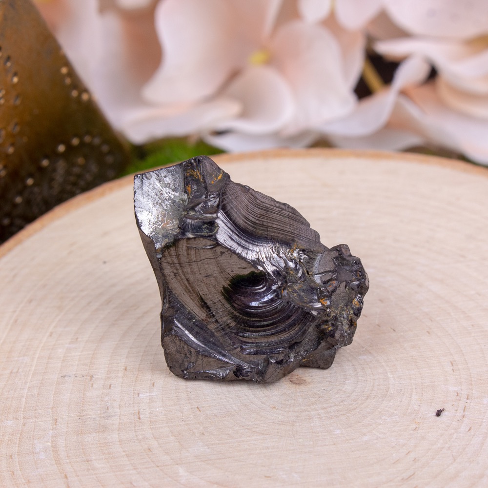 Noble Shungite #2 - The Crystal Council