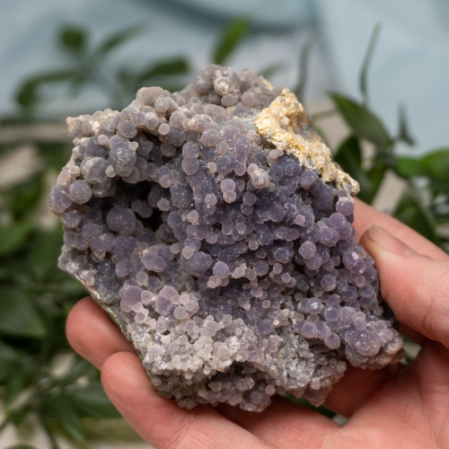 Grape Agate #24 - The Crystal Council