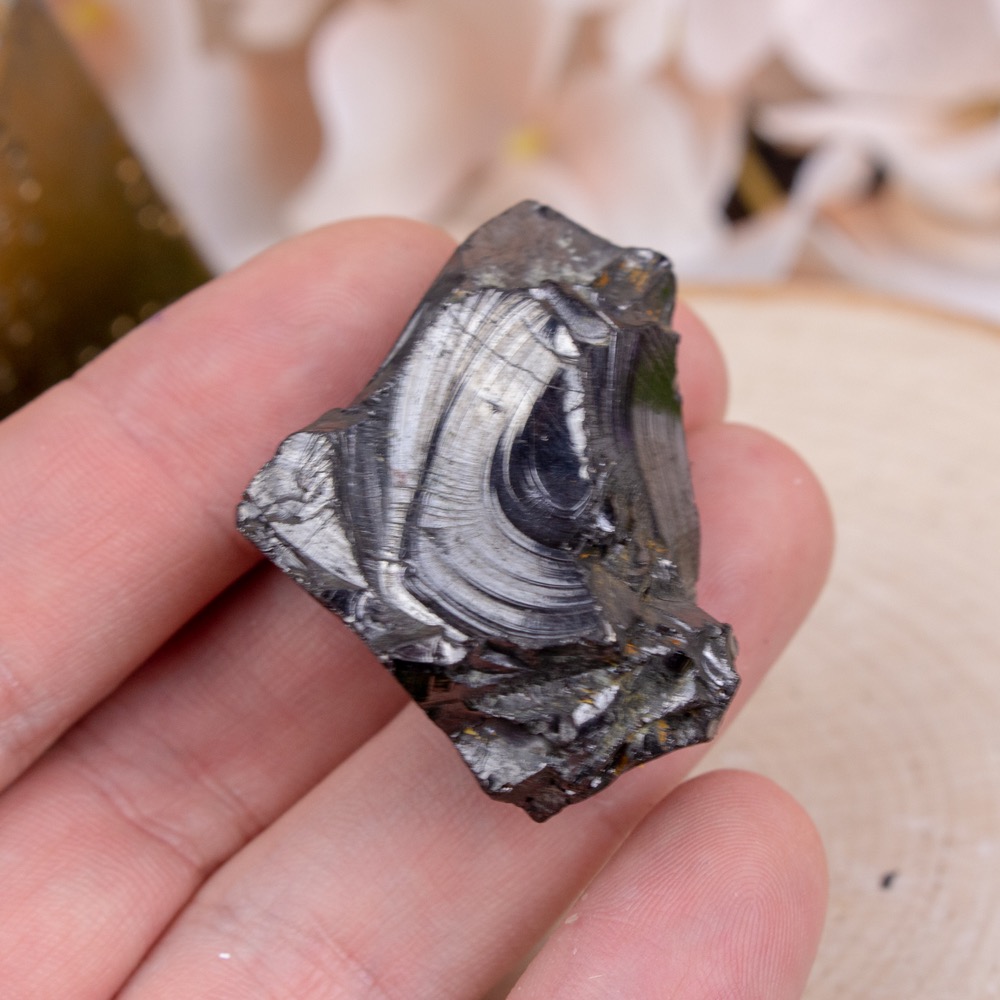 Noble Shungite #2 - The Crystal Council