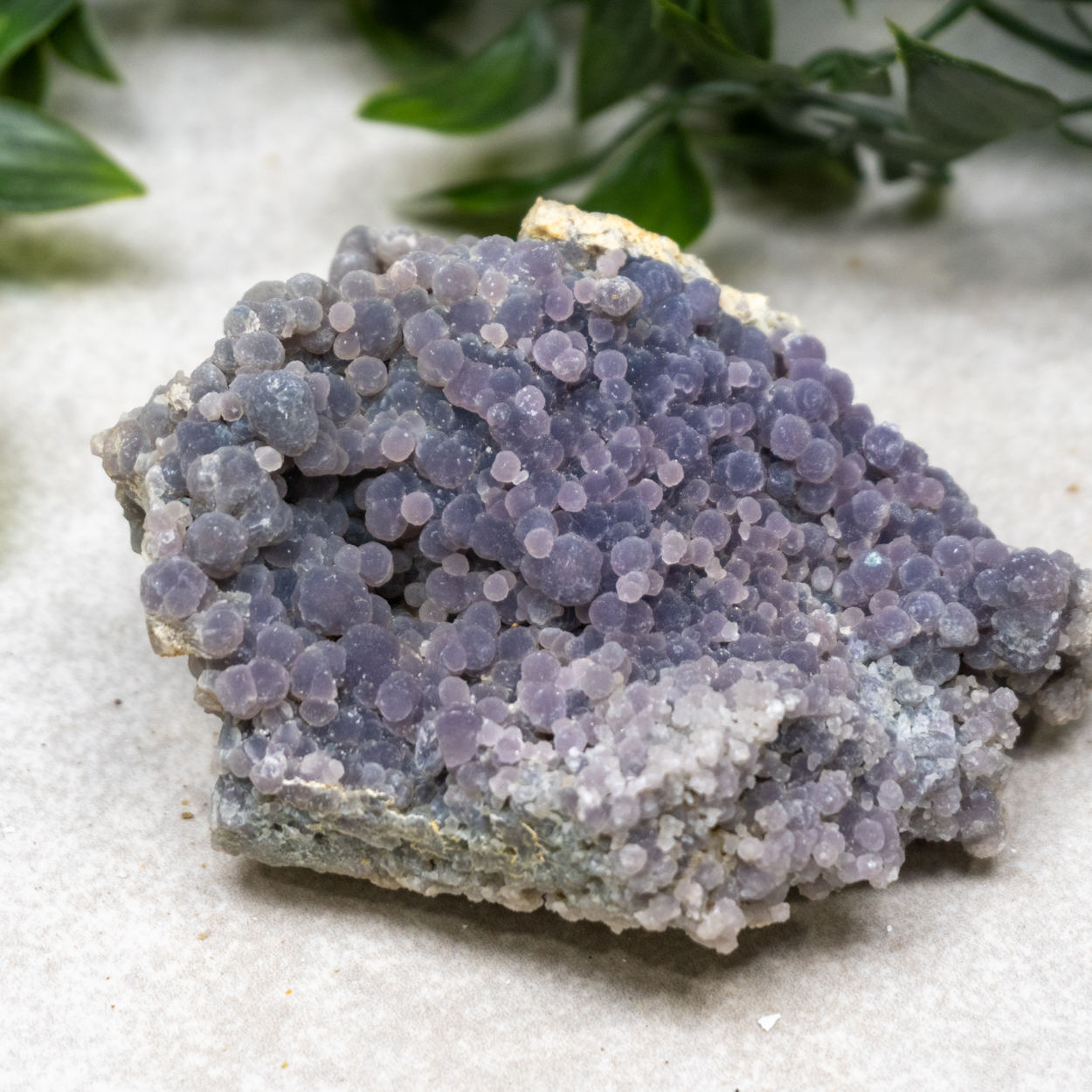 Grape Agate #24 - The Crystal Council