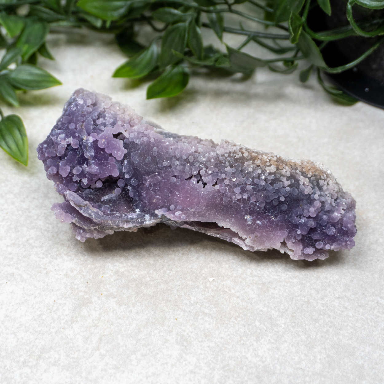 Grape Agate #22 - The Crystal Council