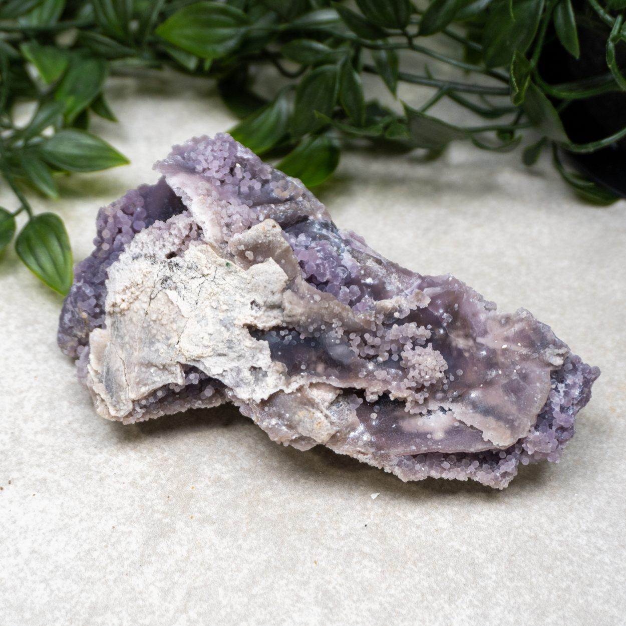 Grape Agate #22 - The Crystal Council