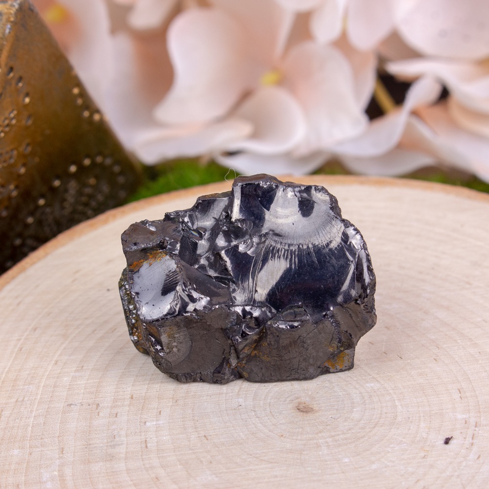 Noble Shungite #1 - The Crystal Council