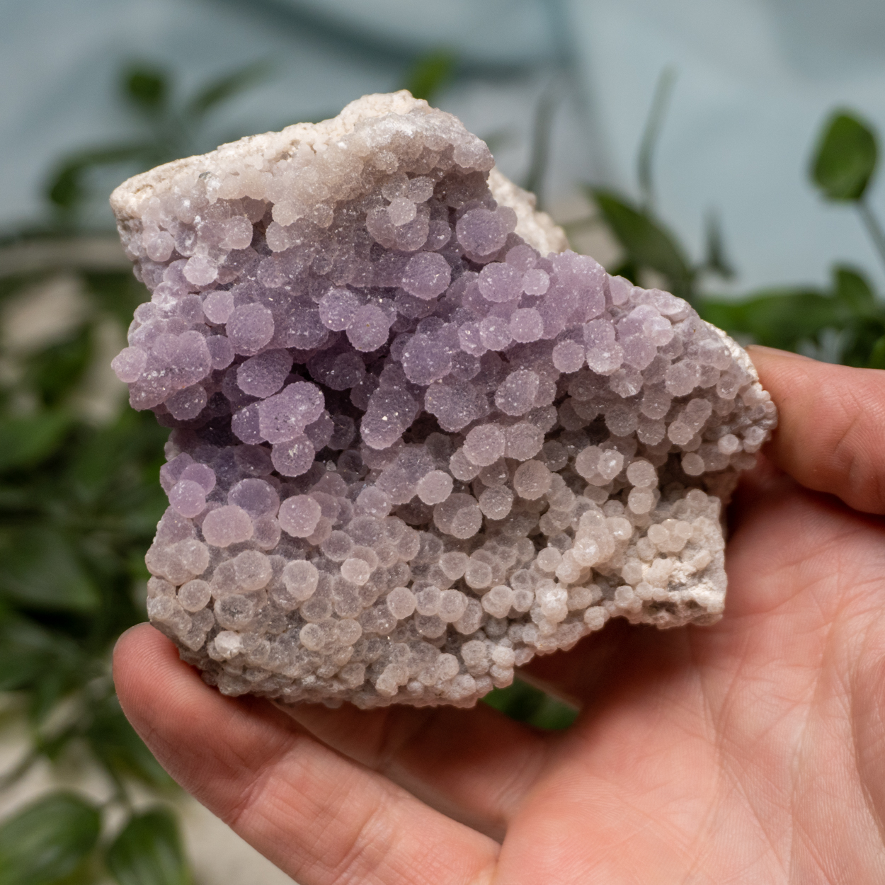 Grape Agate #21 - The Crystal Council