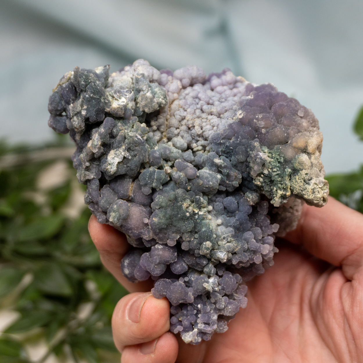 Grape Agate #28 - The Crystal Council
