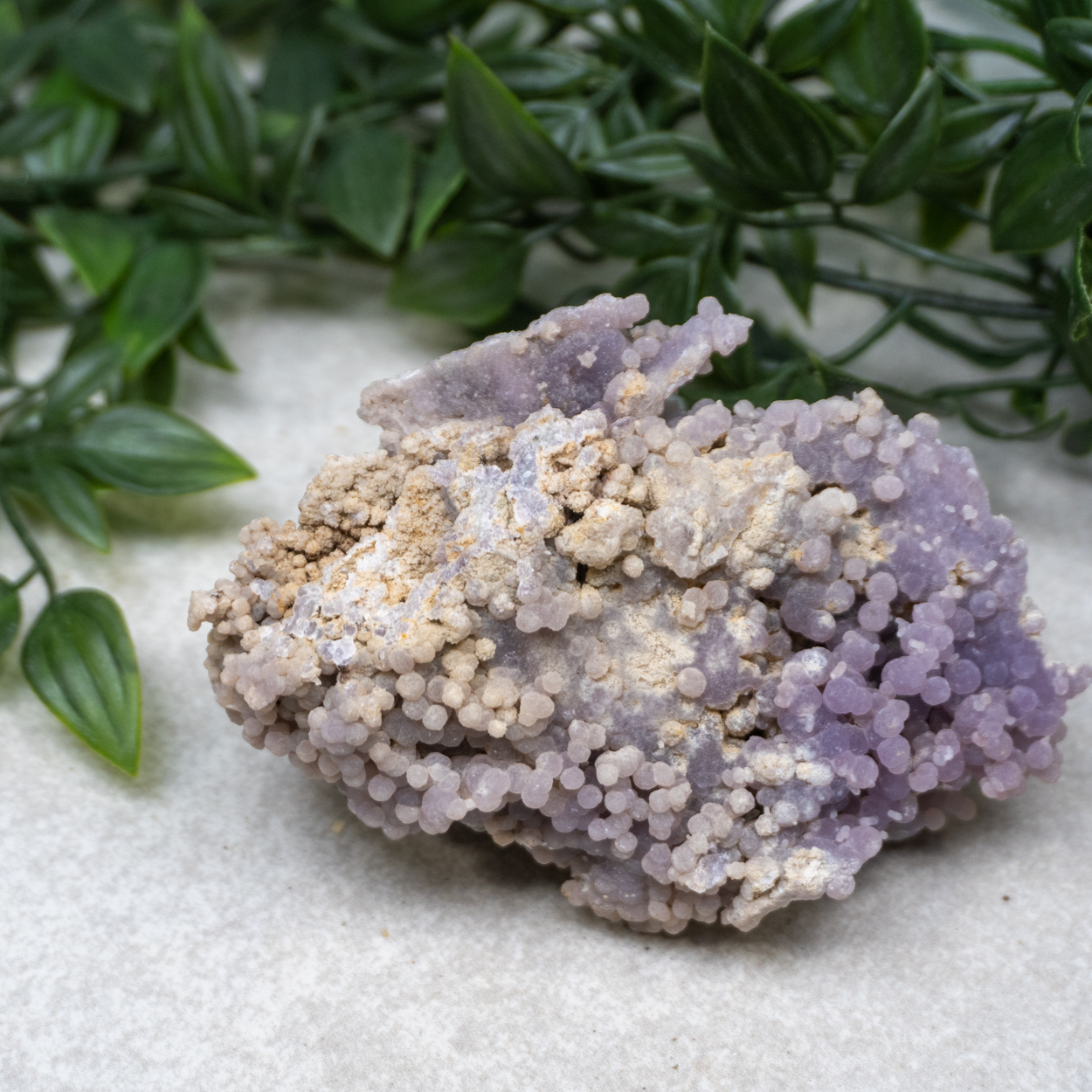 Grape Agate #27 - The Crystal Council