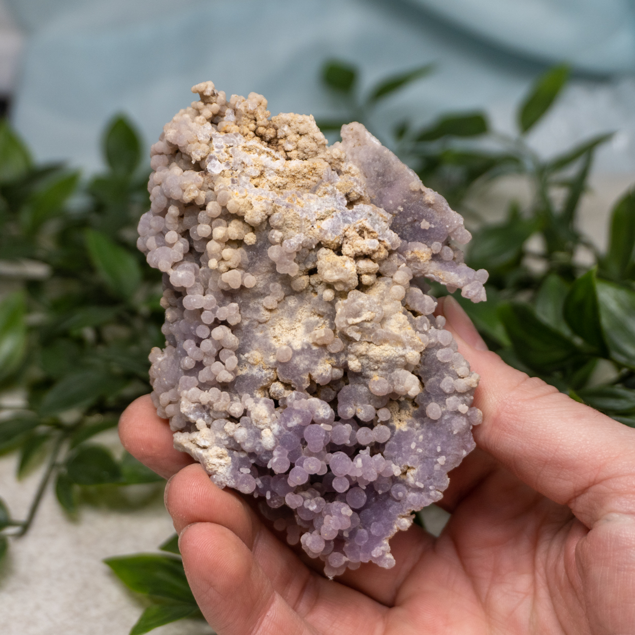 Grape Agate #27 - The Crystal Council