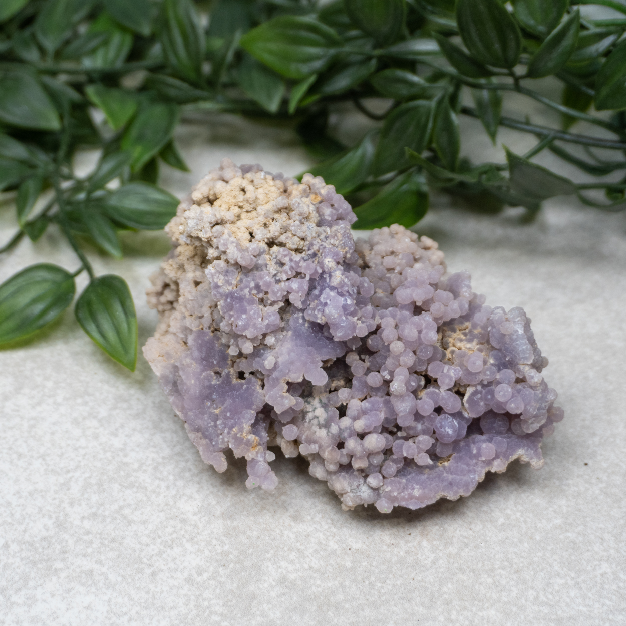 Grape Agate #27 - The Crystal Council