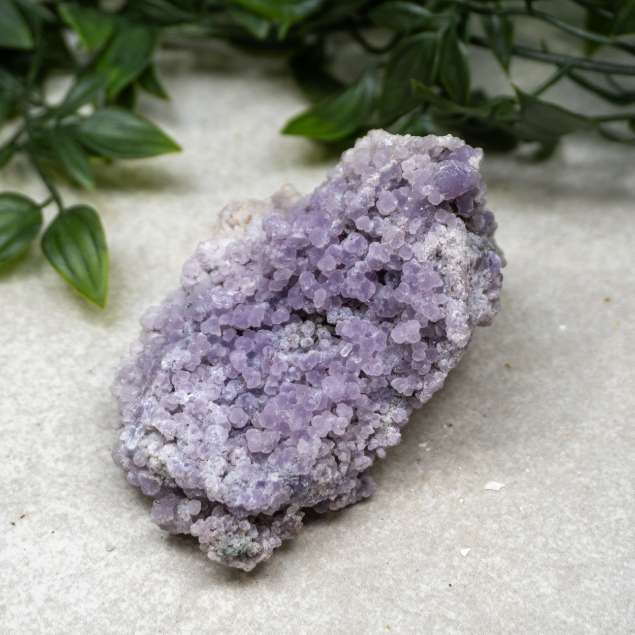 Grape Agate #25 - The Crystal Council