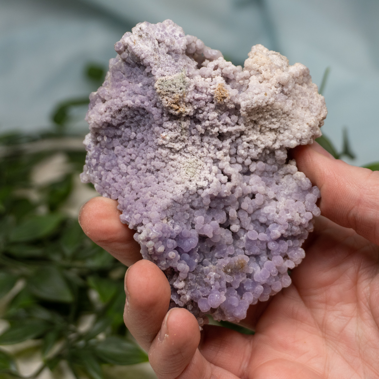 Grape Agate #25 - The Crystal Council