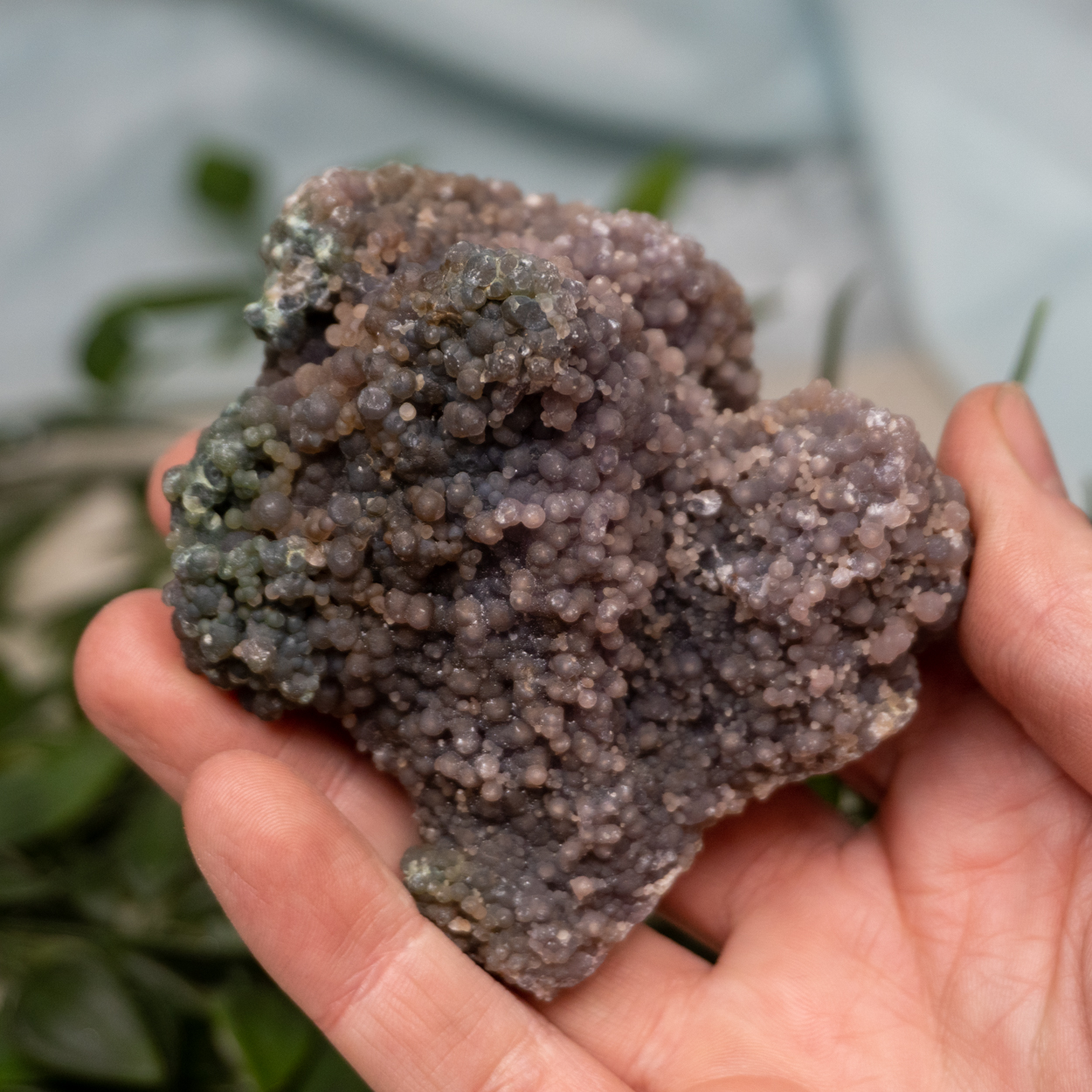 Grape Agate #20 - The Crystal Council