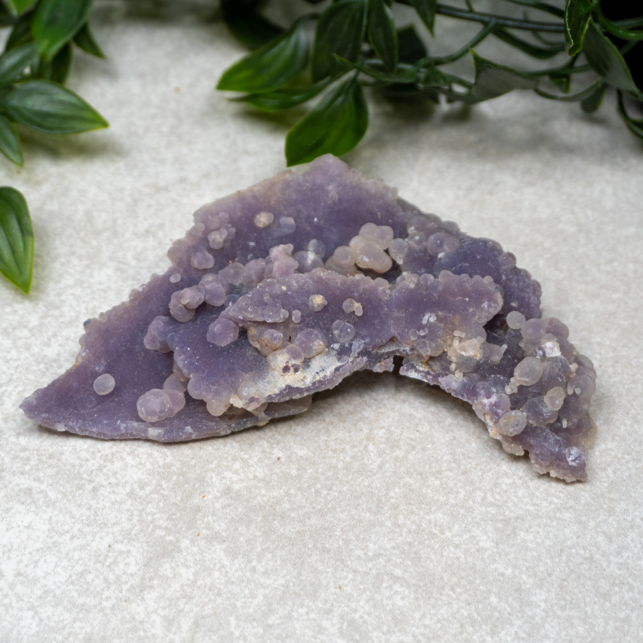 Grape Agate #19 - The Crystal Council