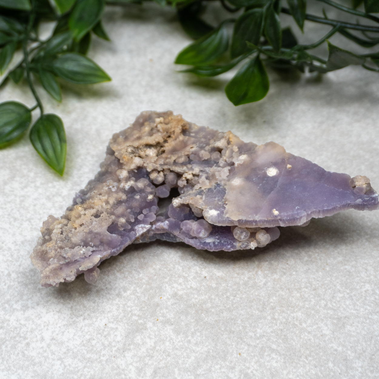 Grape Agate #19 - The Crystal Council