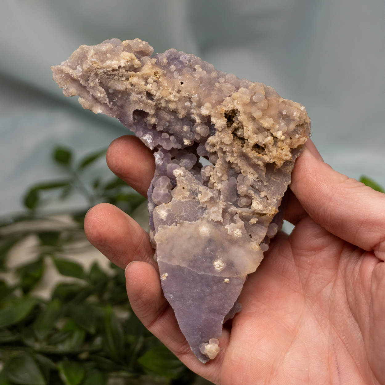 Grape Agate #19 - The Crystal Council