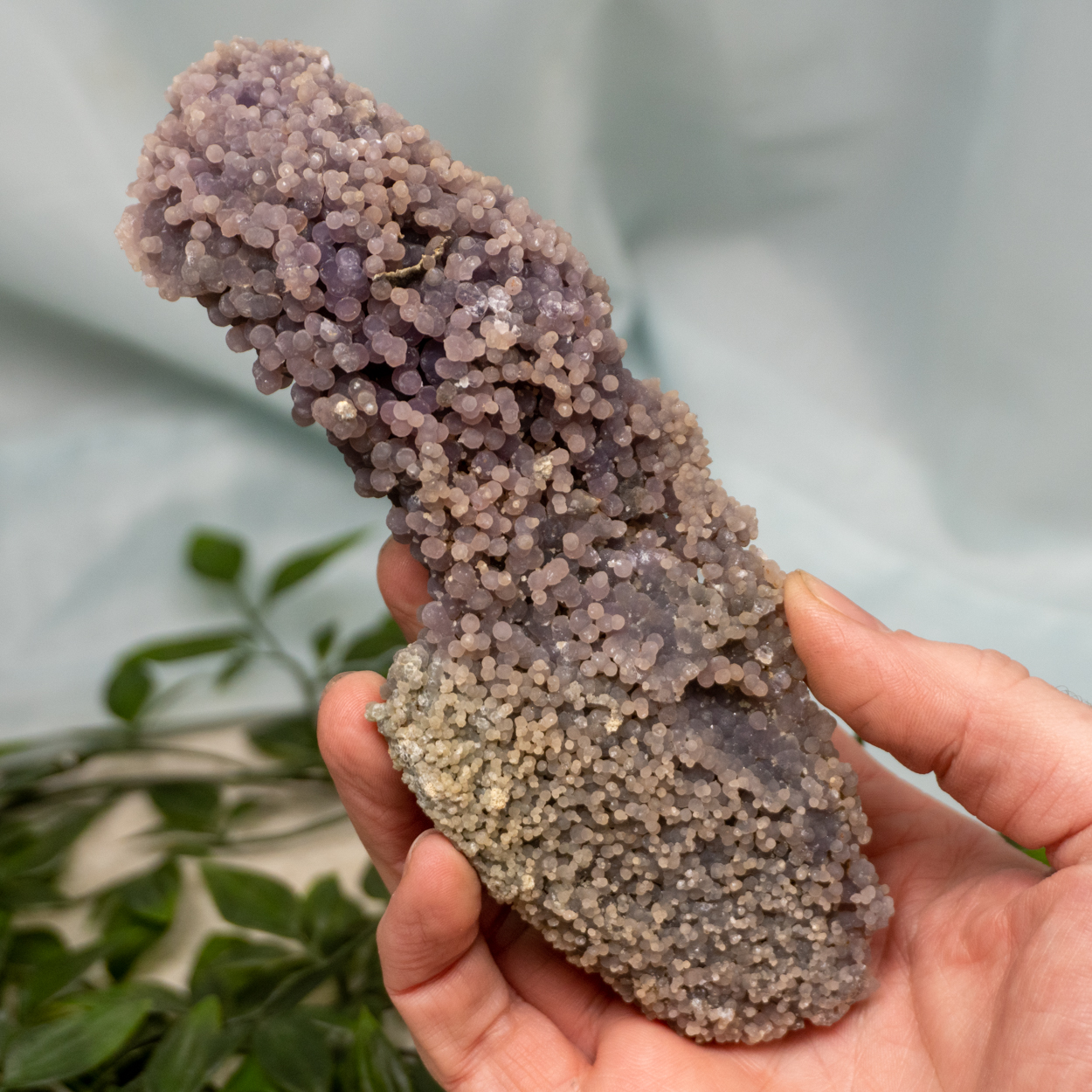 Grape Agate #18 - The Crystal Council