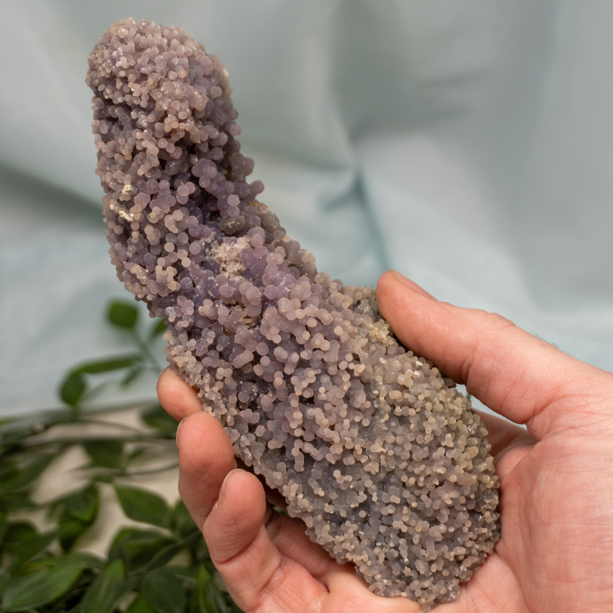 Grape Agate #18 - The Crystal Council