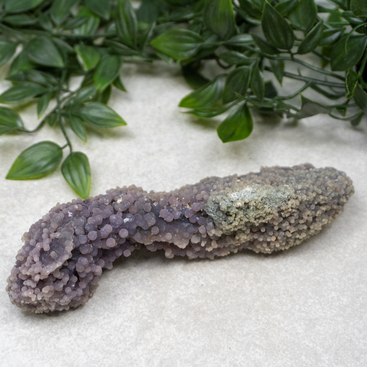 Grape Agate #18 - The Crystal Council