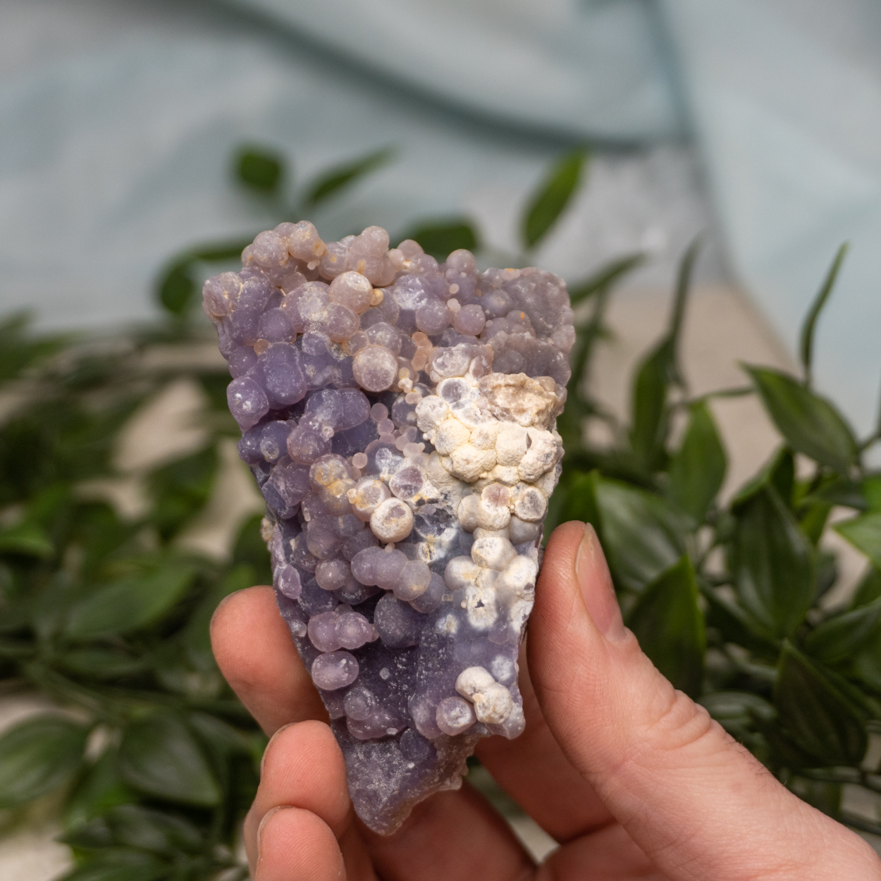Grape Agate #15 - The Crystal Council