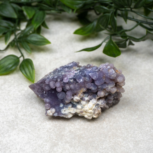 Grape Agate #15 - The Crystal Council