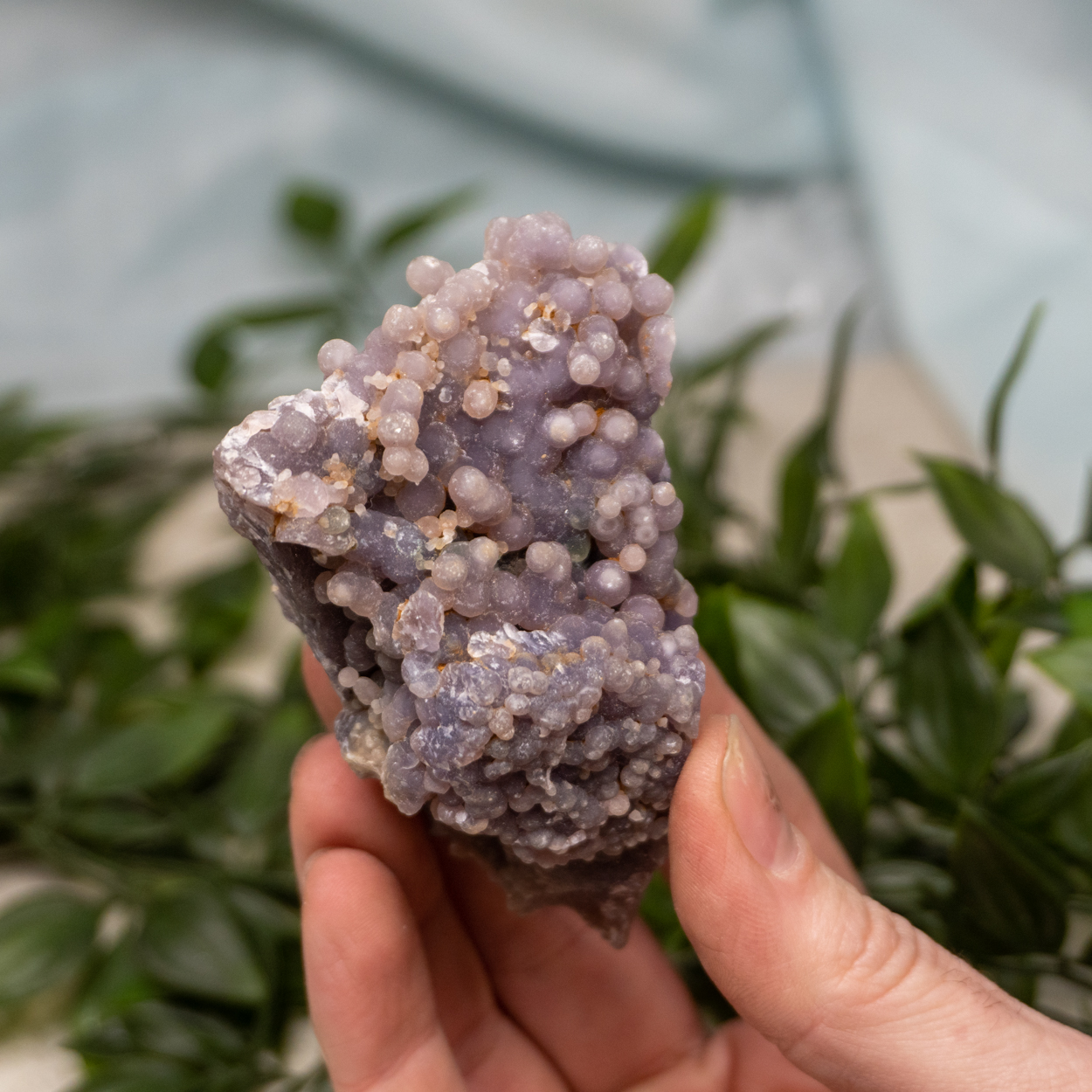 Grape Agate #15 - The Crystal Council