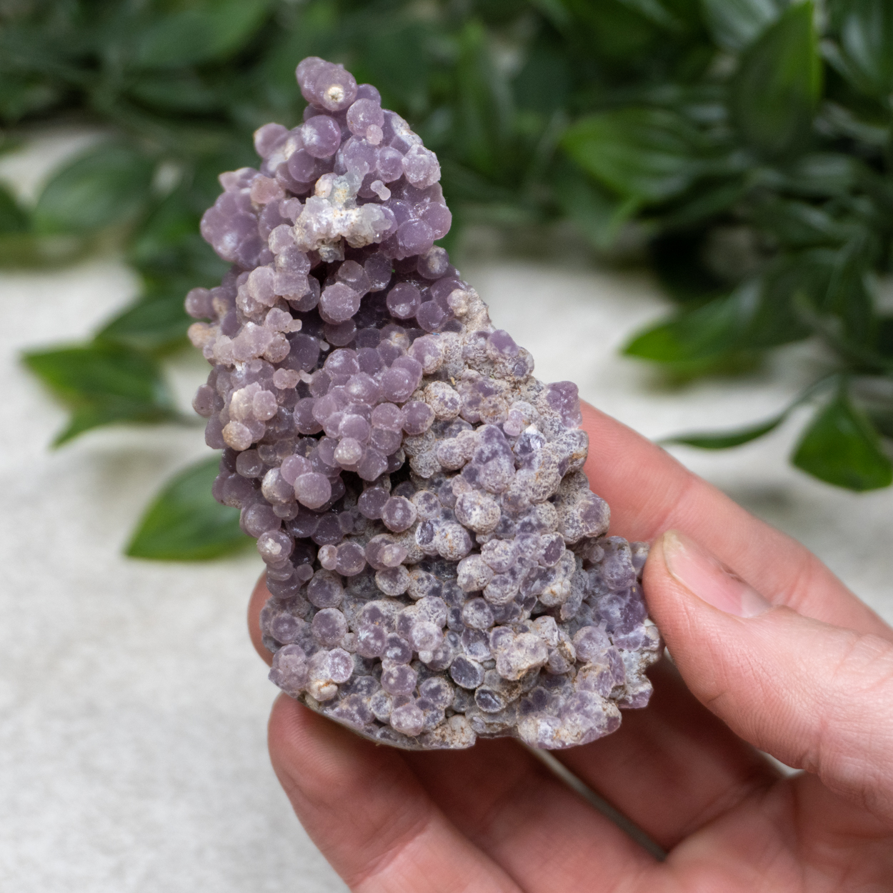 Grape Agate #14 - The Crystal Council