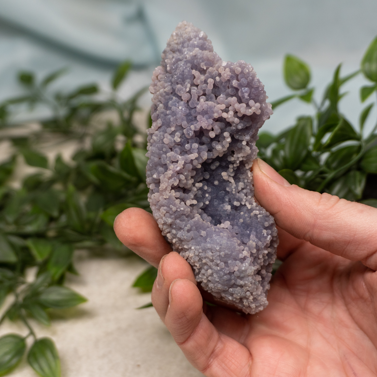 Grape Agate #13 - The Crystal Council