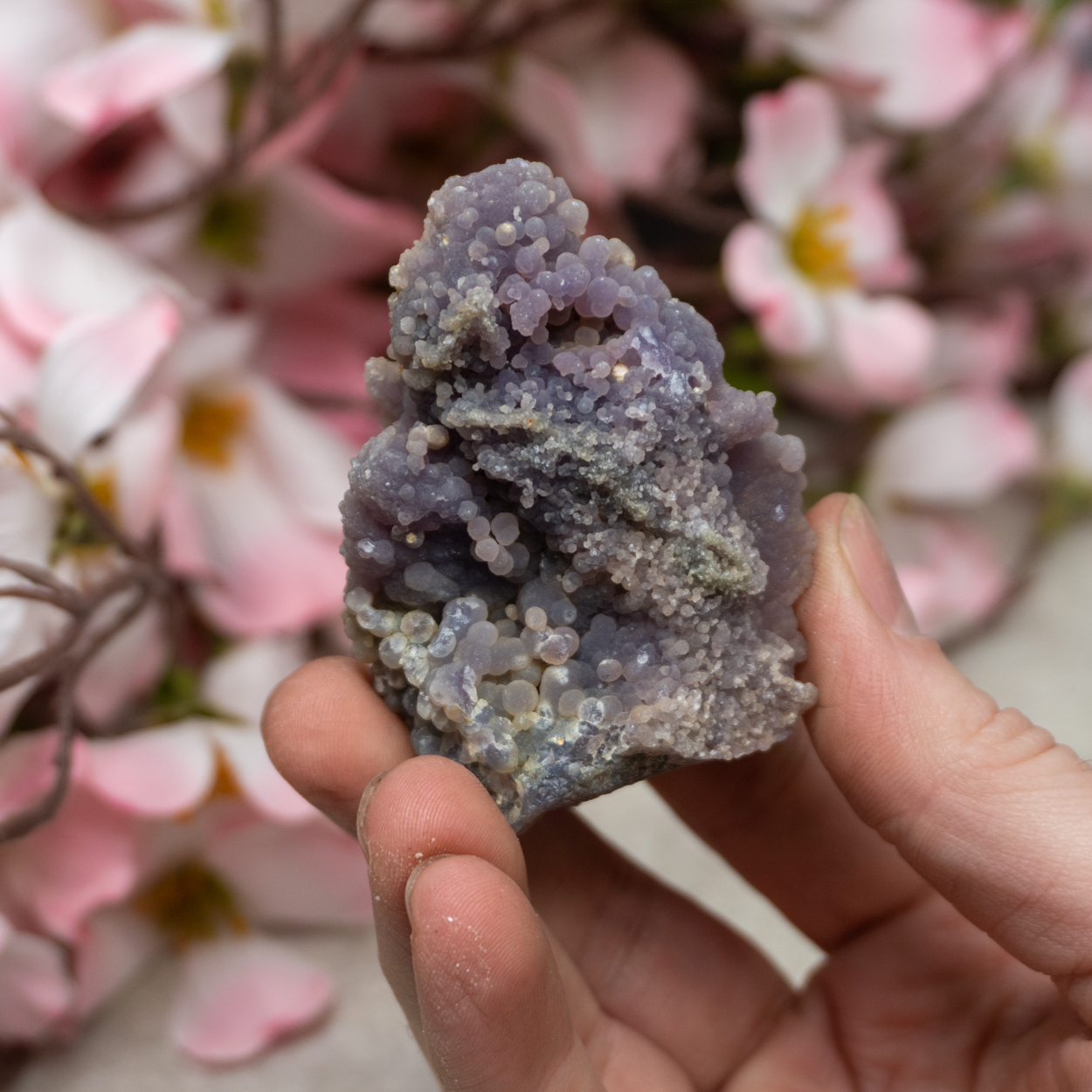 Grape Agate #8 - The Crystal Council
