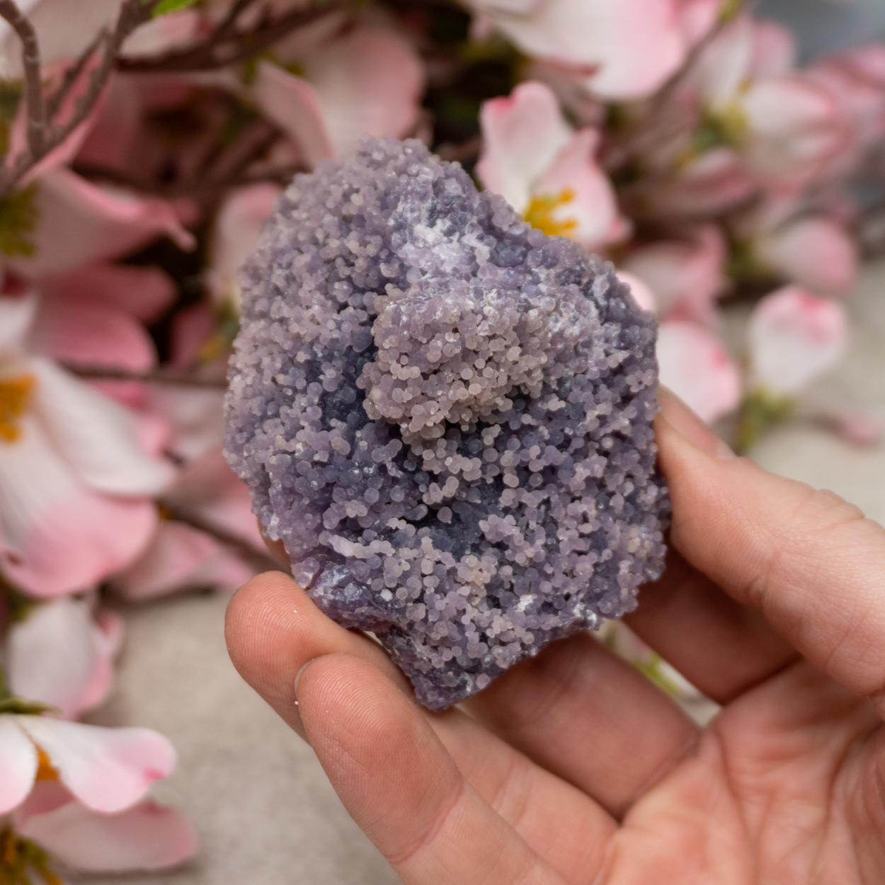 Grape Agate #7 - The Crystal Council