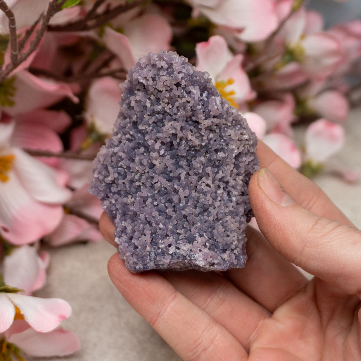 Grape Agate #7 - The Crystal Council