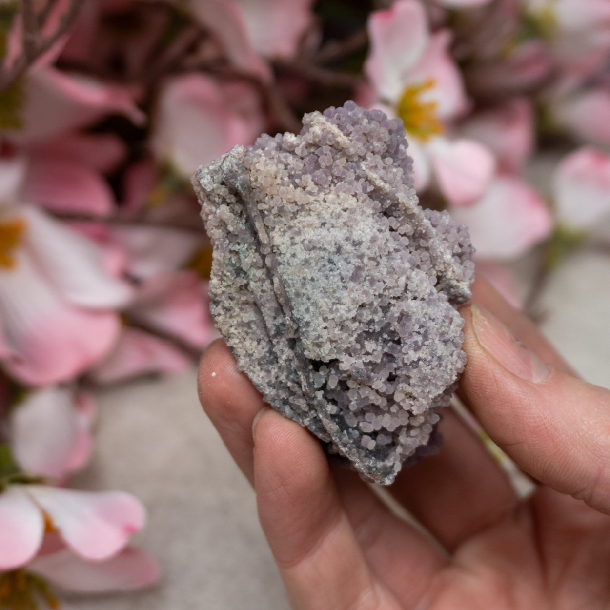 Grape Agate #5 - The Crystal Council