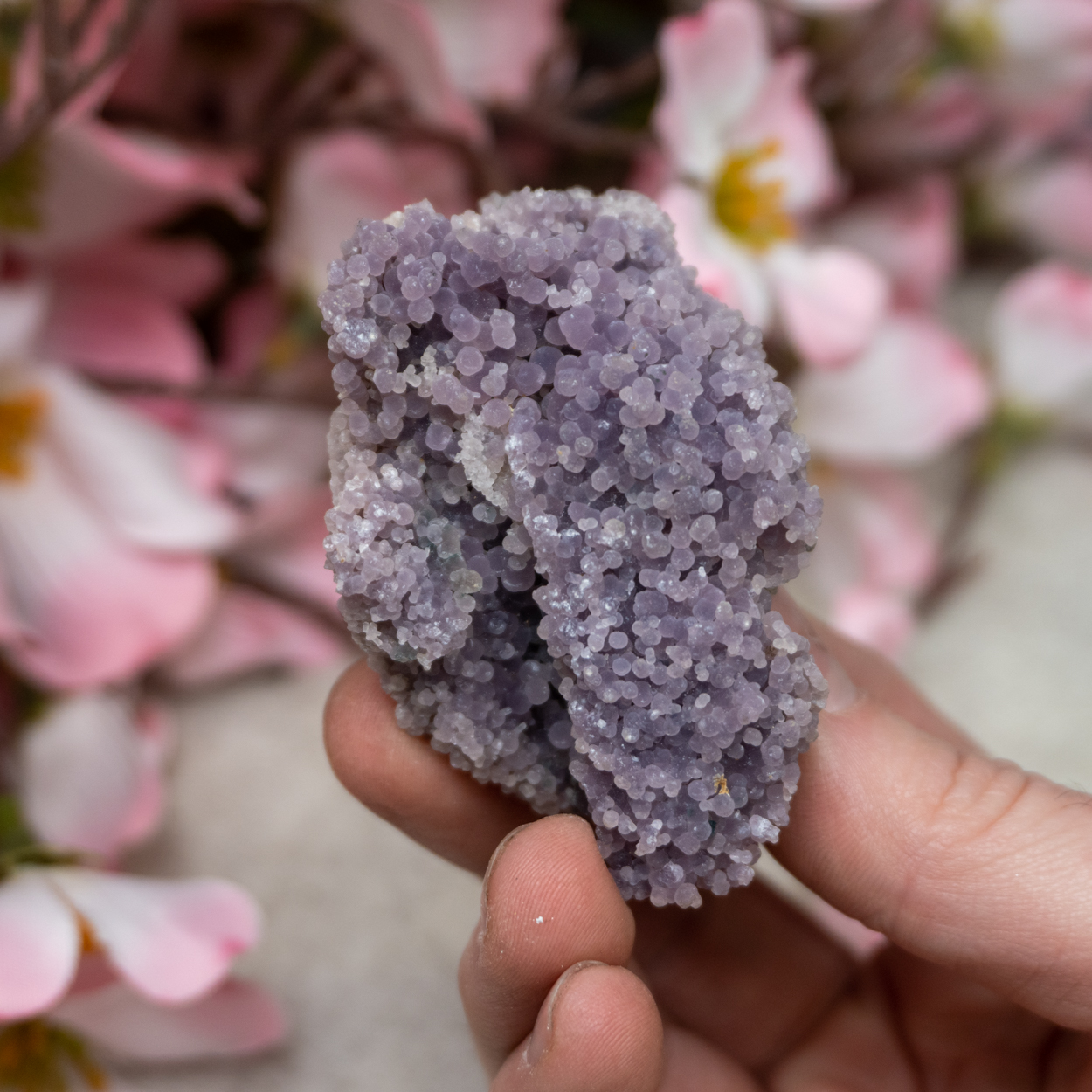 Grape Agate #5 - The Crystal Council