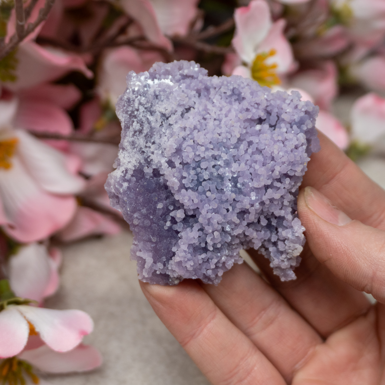 Grape Agate #4 - The Crystal Council