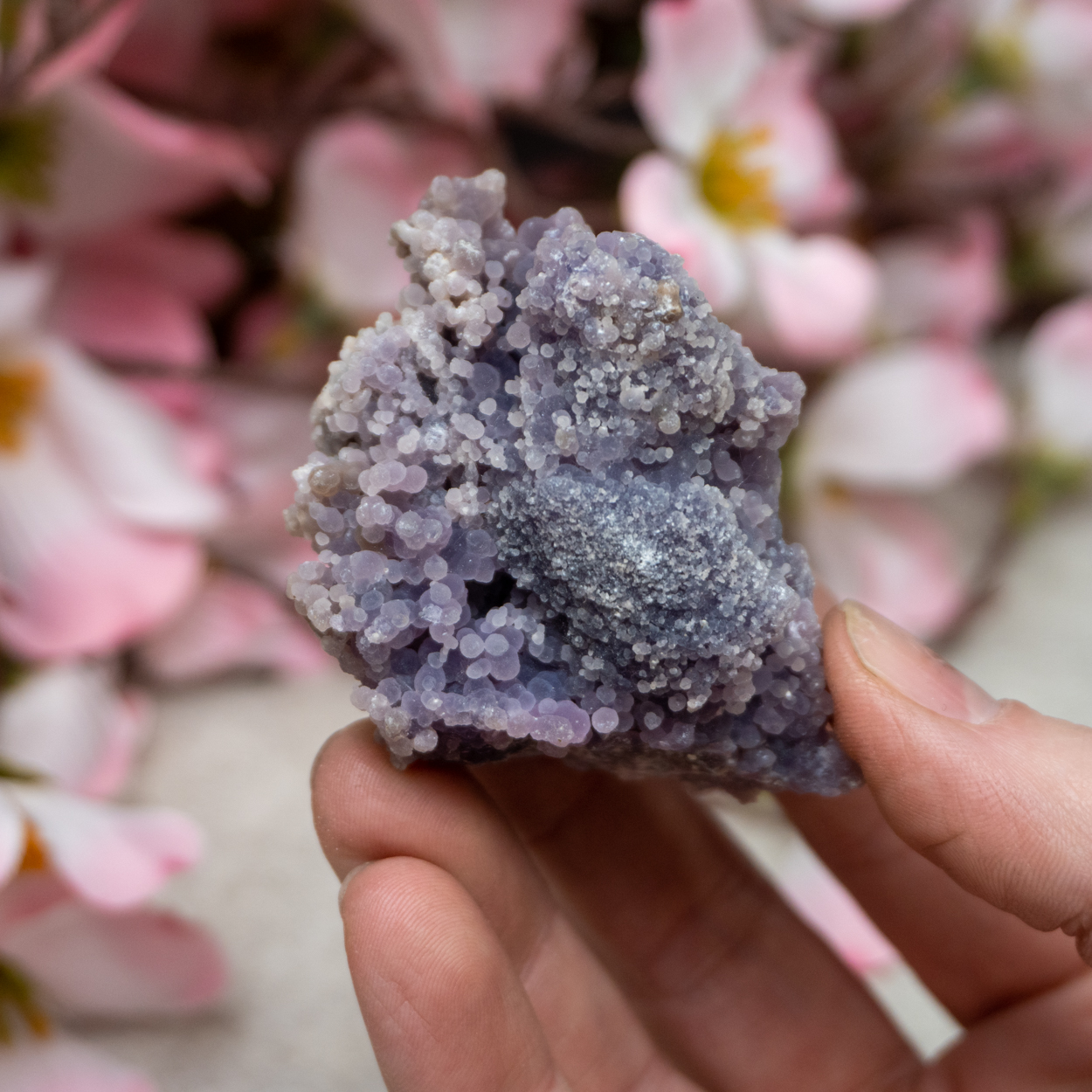 Grape Agate #3 - The Crystal Council