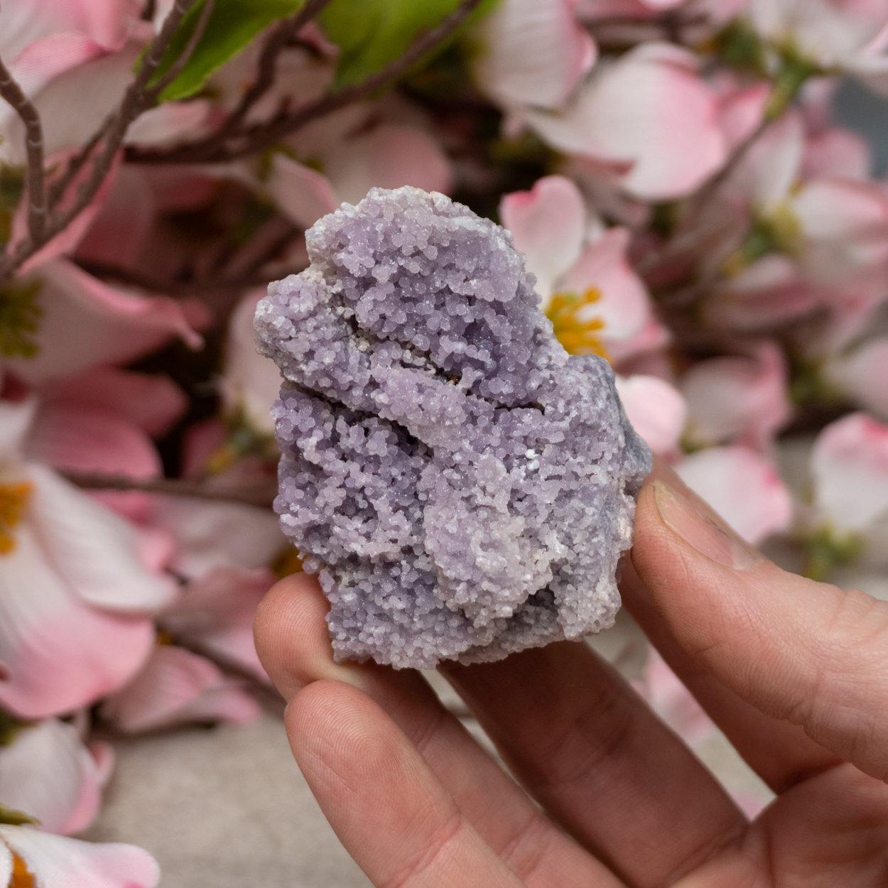 Grape Agate #1 - The Crystal Council