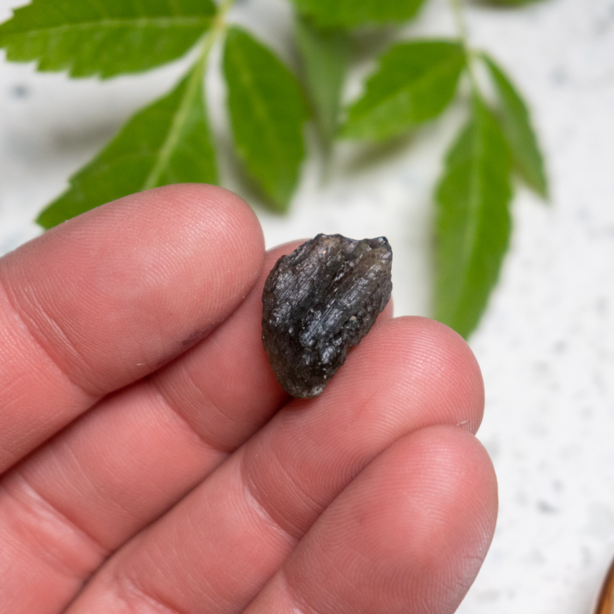 Moldavite #17 - The Crystal Council