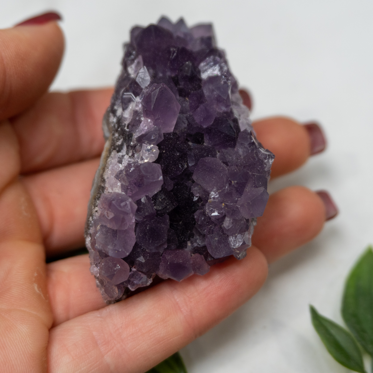 Amethyst Raw Cluster #22 - The Crystal Council