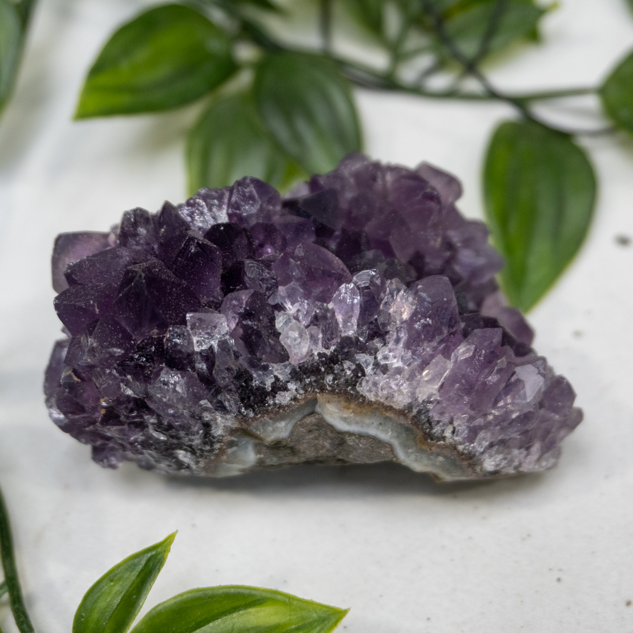 Amethyst Raw Cluster #22 - The Crystal Council