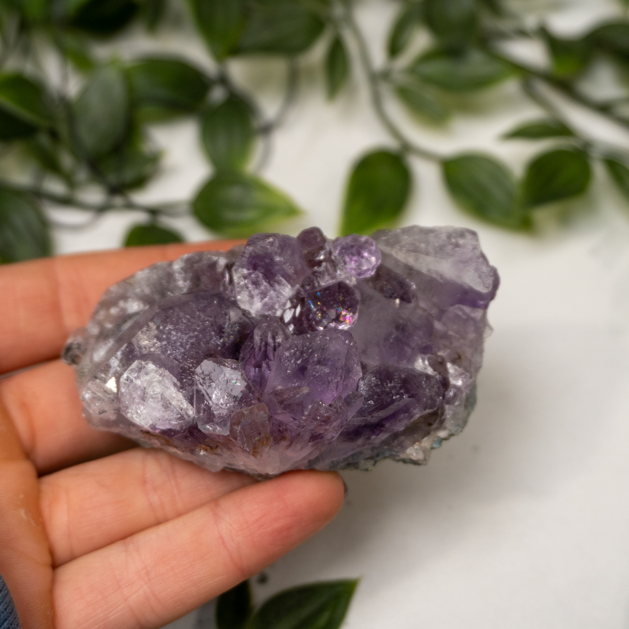 Amethyst Raw Cluster #11 - The Crystal Council