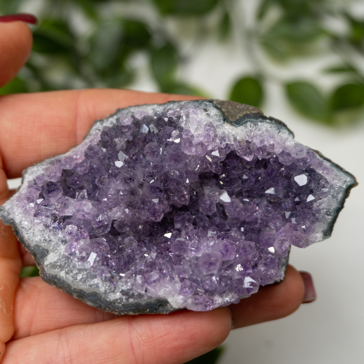 Amethyst Raw Cluster #7 - The Crystal Council