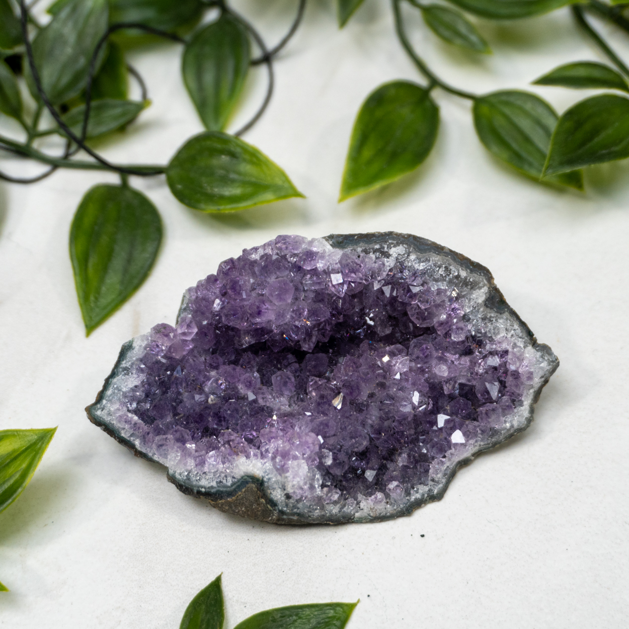 Amethyst Raw Cluster #7 - The Crystal Council