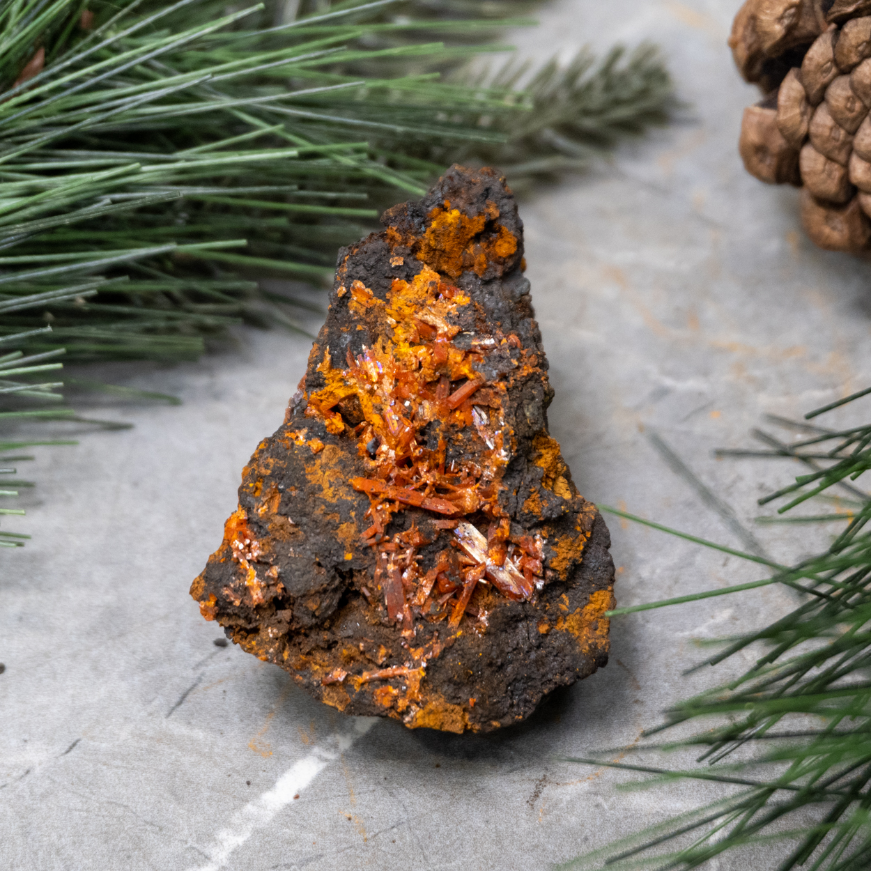 Crocoite A+ Quality #20 - The Crystal Council