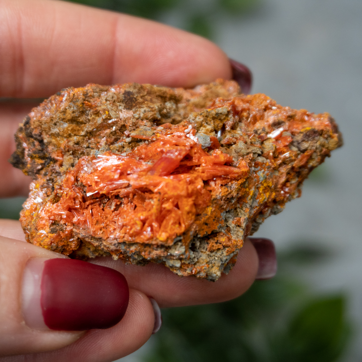 Crocoite A+ Quality #2 - The Crystal Council