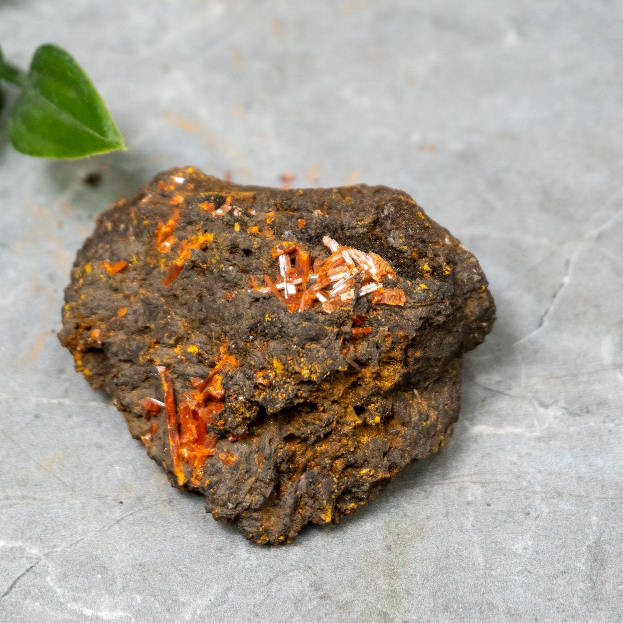 Crocoite A+ Quality #6 - The Crystal Council