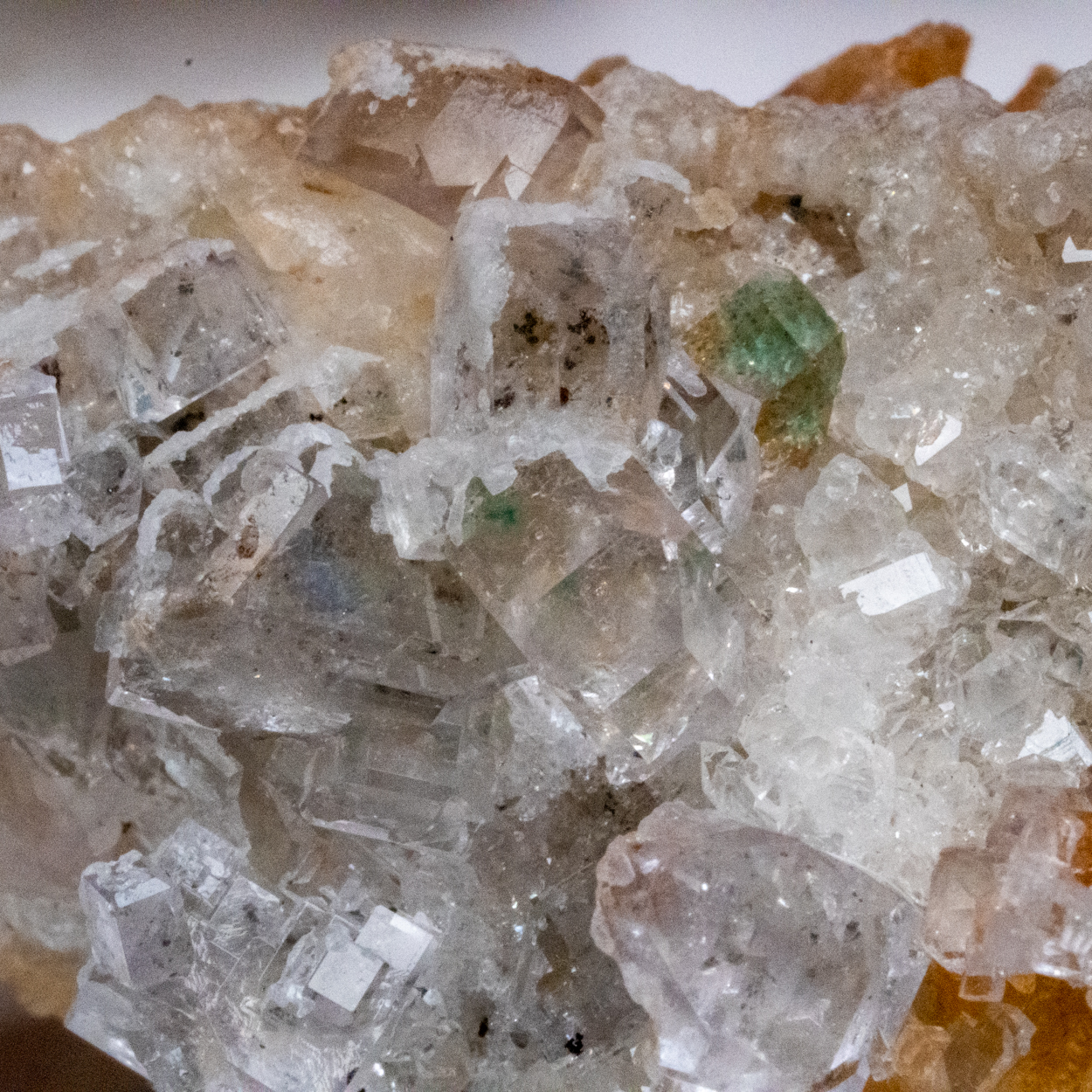 Llamas Mine Optical Fluorite #7 - The Crystal Council