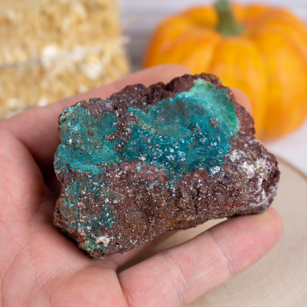 Rosasite on Limonite #16 - The Crystal Council