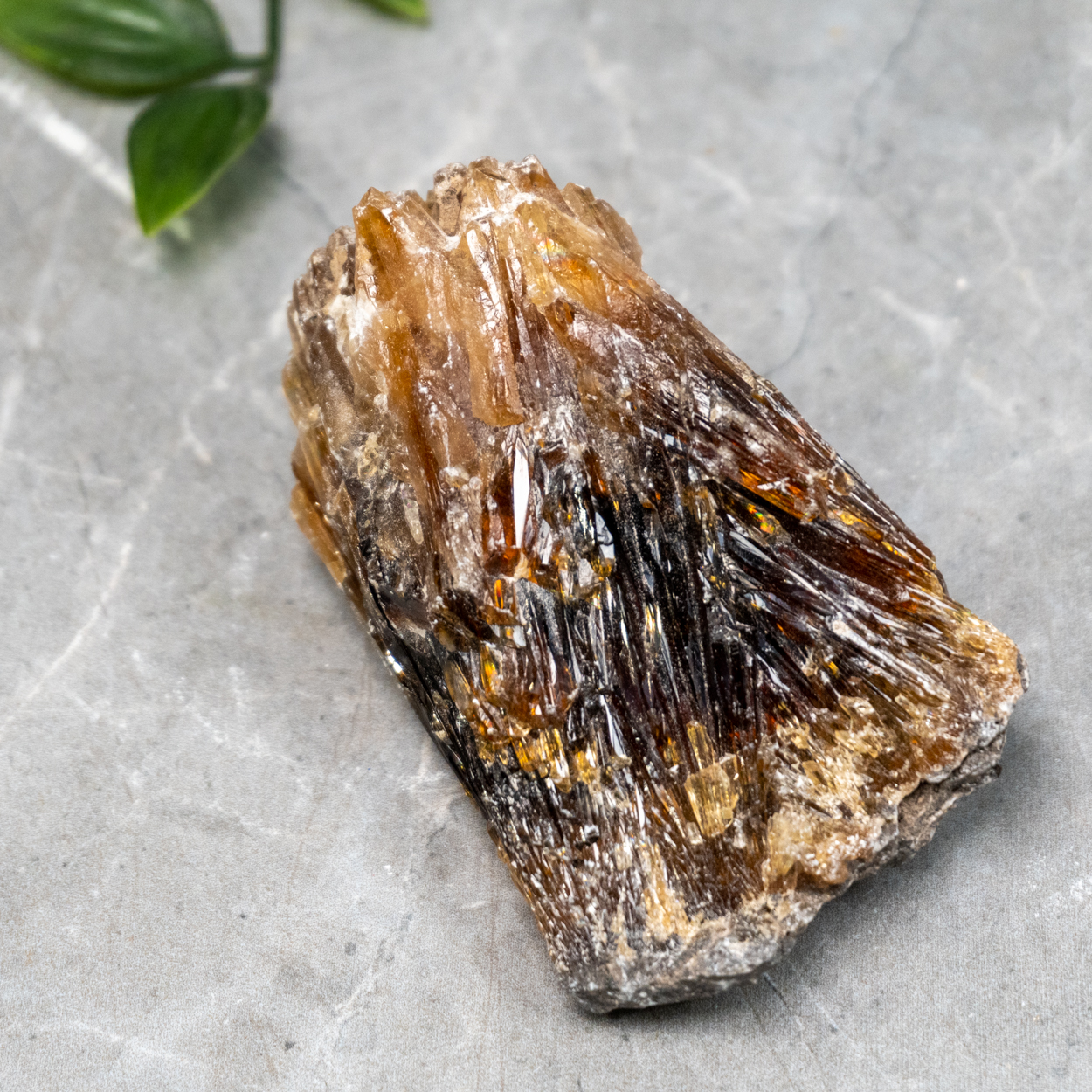 Amber Calcite #12 - The Crystal Council