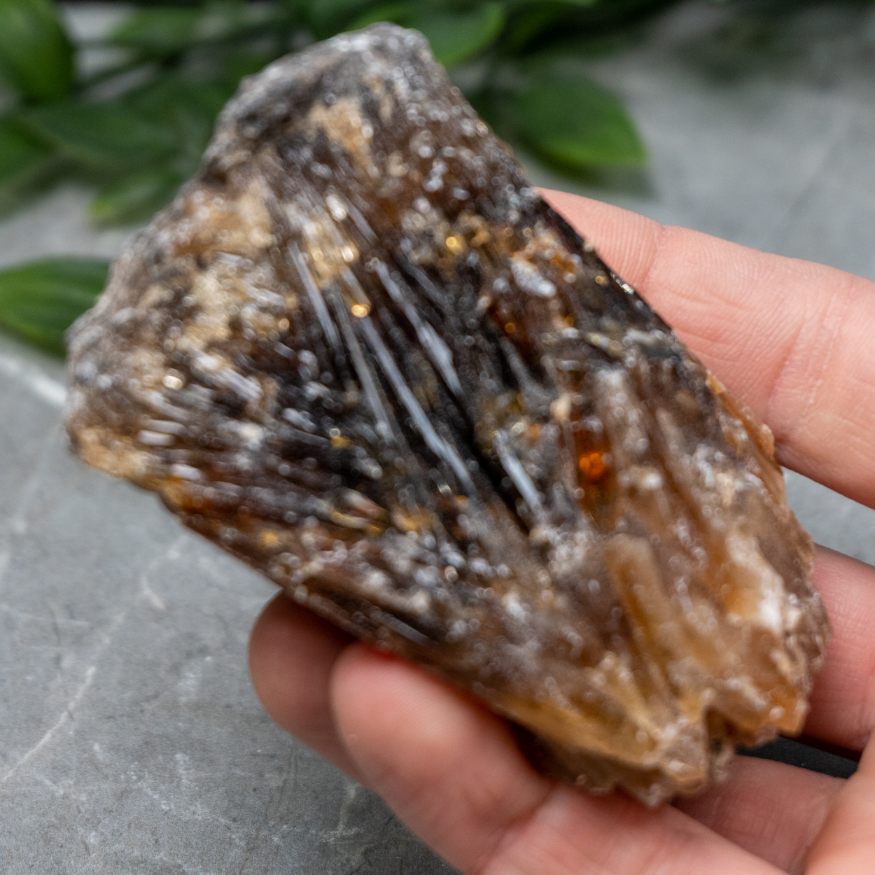 Amber Calcite #12 - The Crystal Council