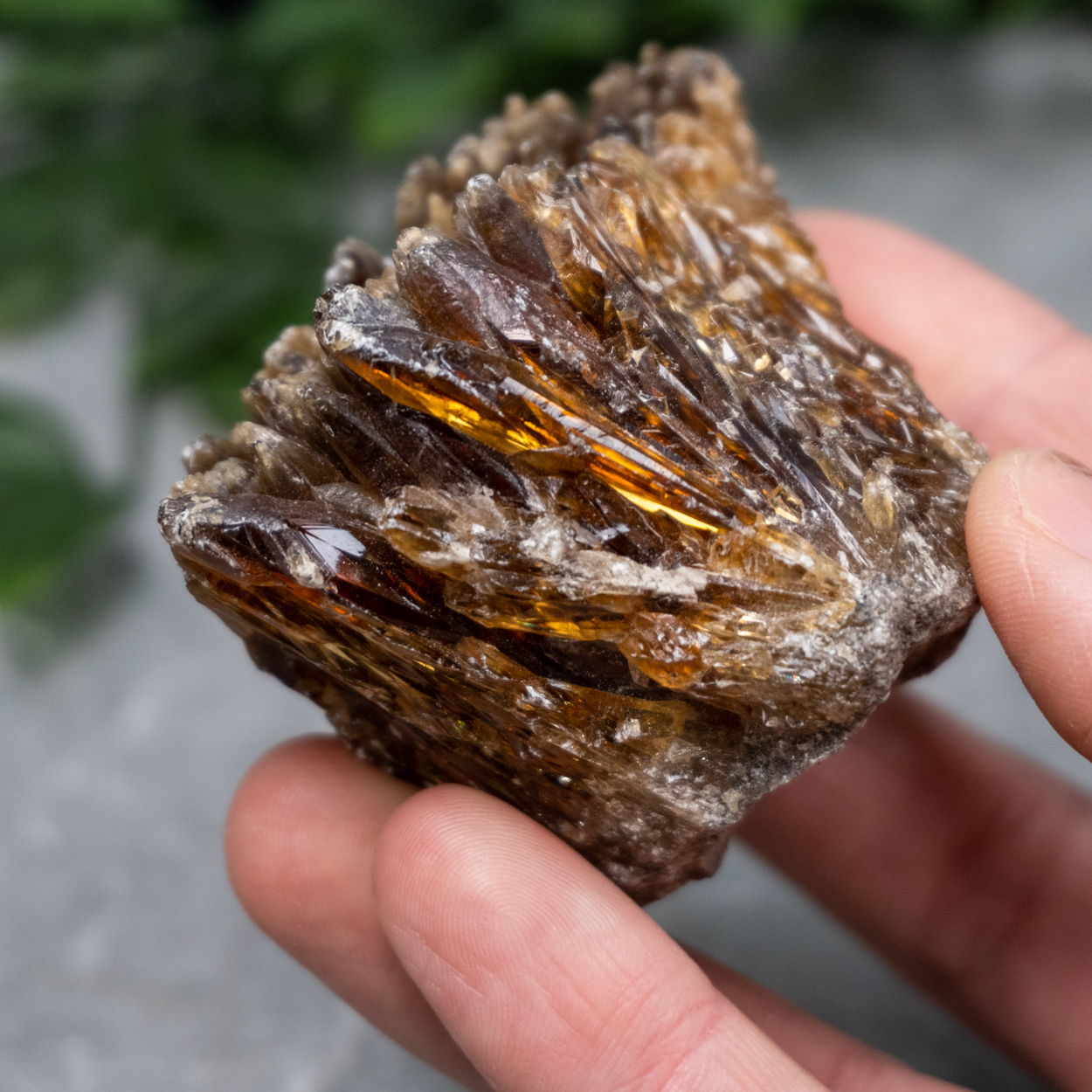 Amber Calcite #9 - The Crystal Council